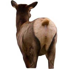 Montana Decoy Cowgirl Cow Elk Decoy