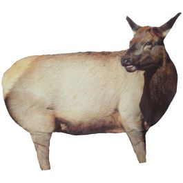 Montana Decoy Cow Elk | Cow Elk Decoys | BlackOvis