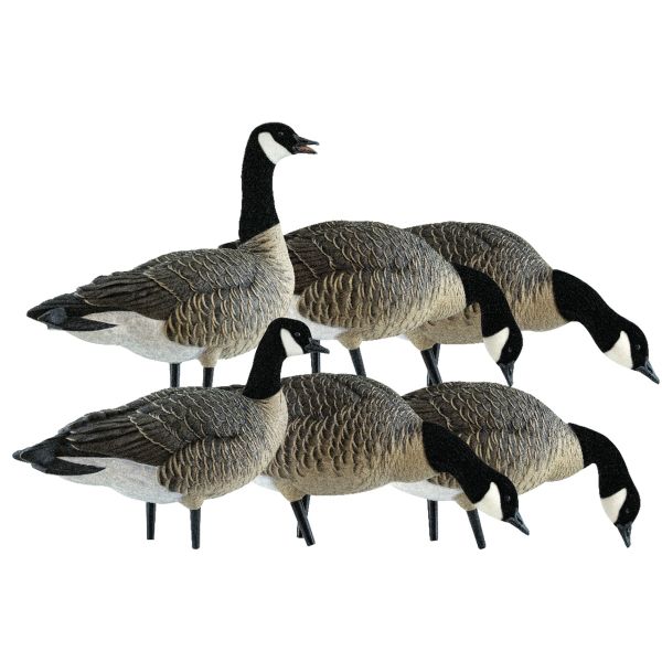 decoy geese